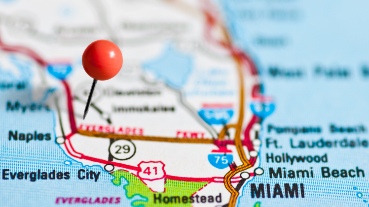 About Forest Park of Naples – Forest Park Naples
